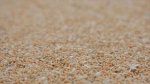 Pantai Kuta Lombok, Pantai Pasir Merica di Bumi Mandalika - AJAK ANAK
